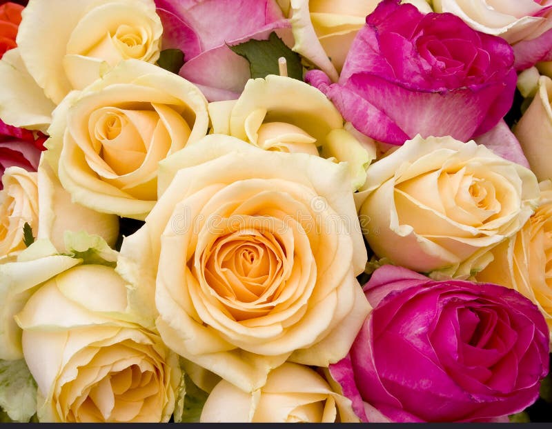 Huge bouquet of roses stock photo. Image of colours, colors - 85026788
