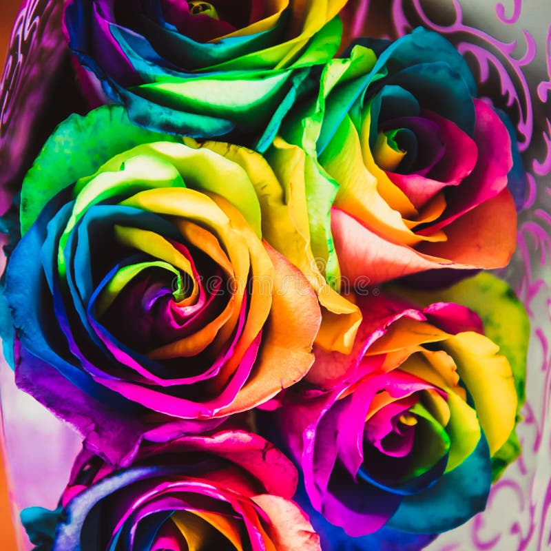 Colorful roses closeup stock photo. Image of gift, beauty - 157880538