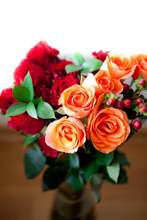 Colorful Roses in a Vase on White Background Stock Image - Image of ...