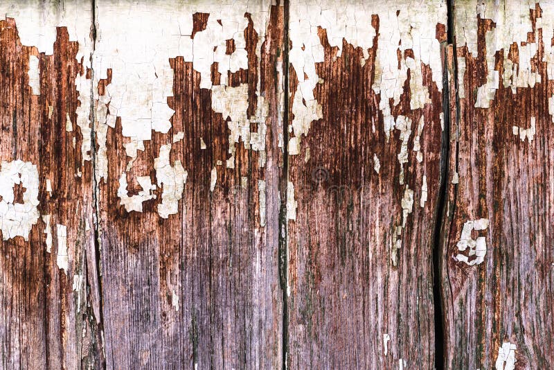 Colorful, Rough, Structural, Bright Texture and the Basis for the ...