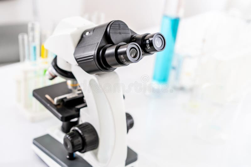 Colorful Rows of Laboratory or Classroom Test Tubes and Microscope with ...