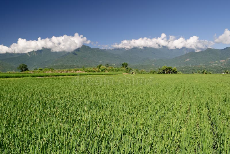 Colorful rural scenery stock image. Image of culture - 16062811