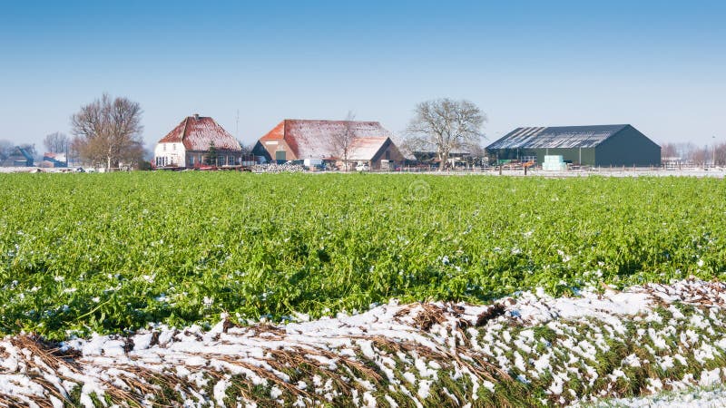 Colorful Rural Winter Landscape Stock Image - Image of nature ...
