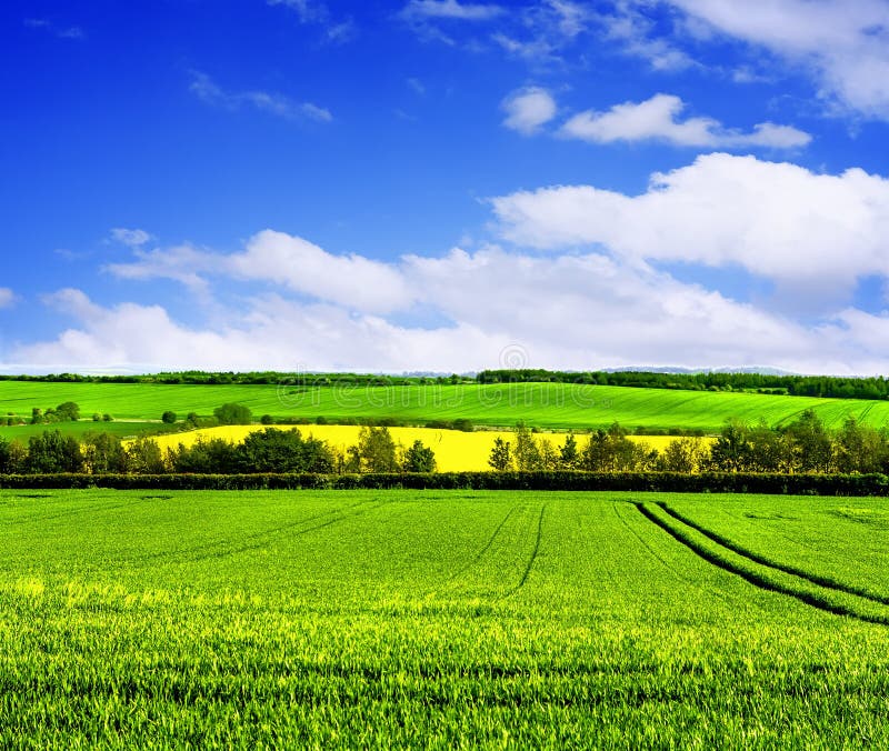 Wonderful Nature stock image. Image of meadow, land, ecology - 29761339