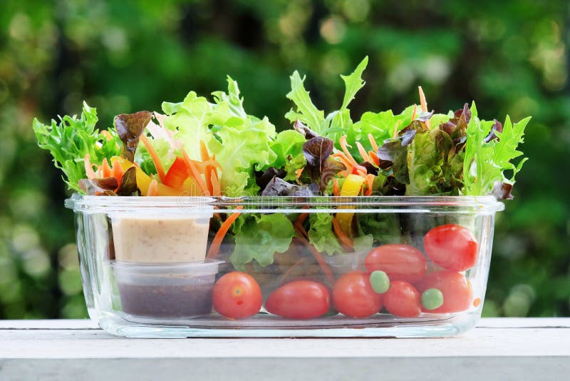 Colorful Salad Roll Lunch Box Stock Photo - Image of salad, vegetable ...