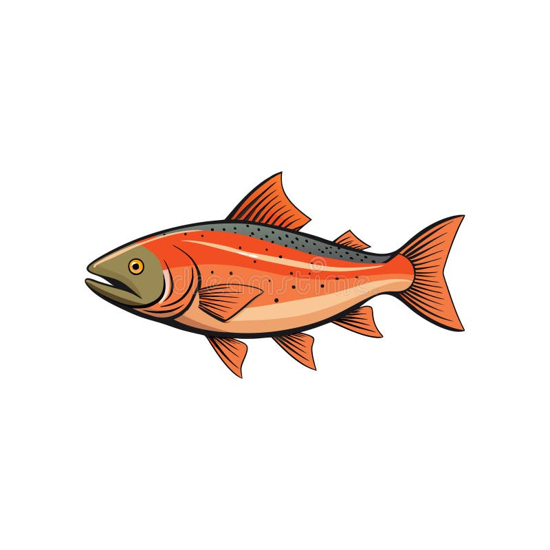 Colorful Salmon Illustration with Realistic Features Stock Illustration ...