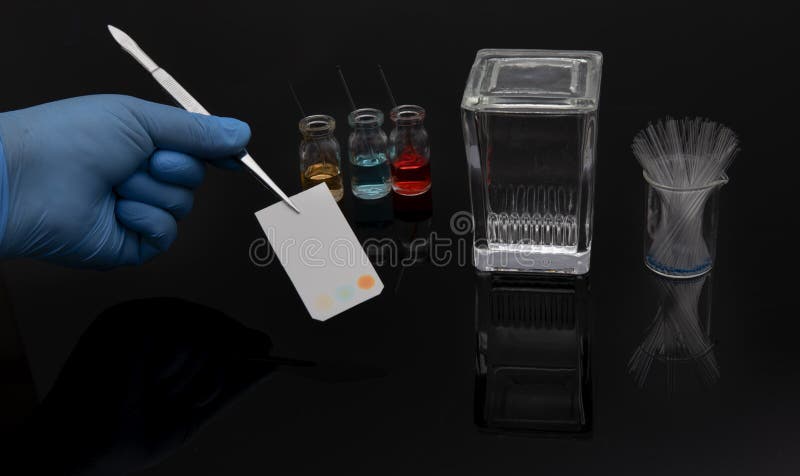 Colorful Sample Application of Thin Layer Chromatography. the Process ...
