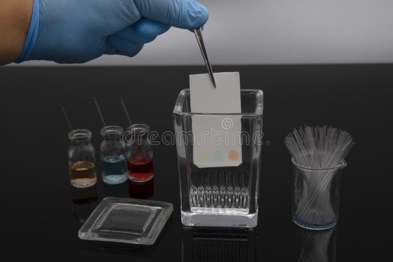 Colorful Sample Application of Thin Layer Chromatography. the Process ...