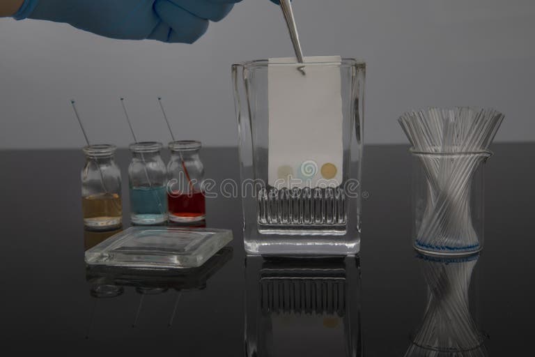 Colorful Sample Application of Thin Layer Chromatography. the Process ...