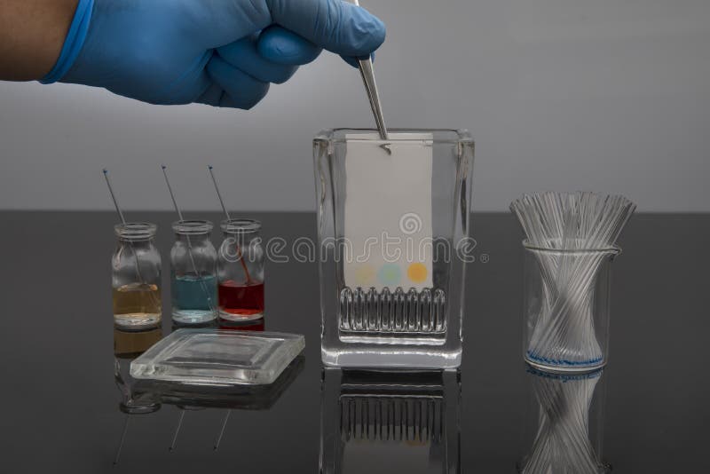 Colorful Sample Application of Thin Layer Chromatography. the Process ...