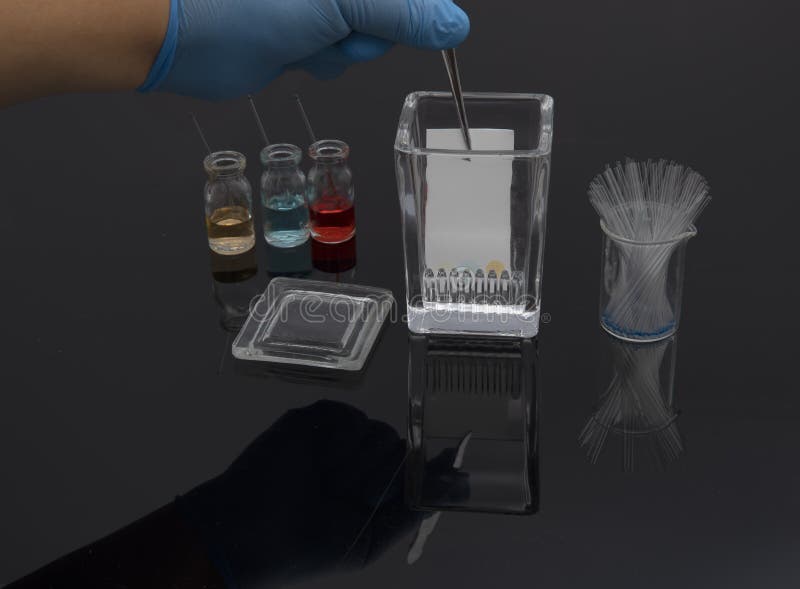 Colorful Sample Application of Thin Layer Chromatography. the Process ...