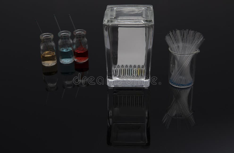 Colorful Sample Application of Thin Layer Chromatography. the Process ...