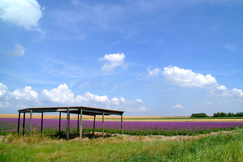 Colorful Scene Picture. Image: 1007799