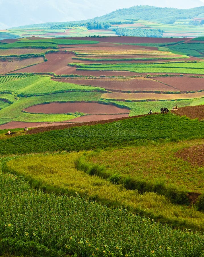 Colorful Scenery of Hongtudi (2) Stock Image - Image of grass, farmland ...