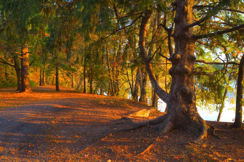 Colorful Scenic Waterfall in HDR Stock Photo - Image of natural ...