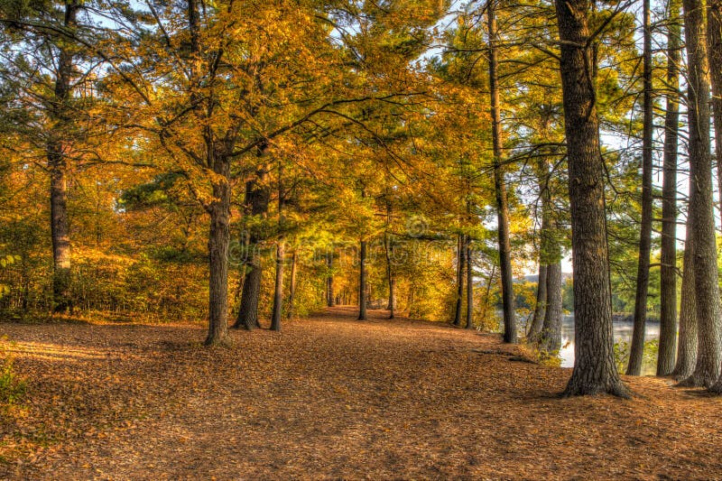 Colorful Scenic Landscape in HDR Stock Photo - Image of high, summer ...