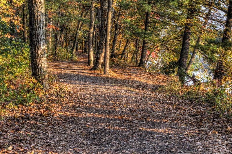 Colorful Scenic Landscape in HDR Stock Photo - Image of foliage, stream ...