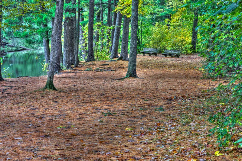 Colorful Scenic Landscape in HDR Stock Photo - Image of beauty, nature ...