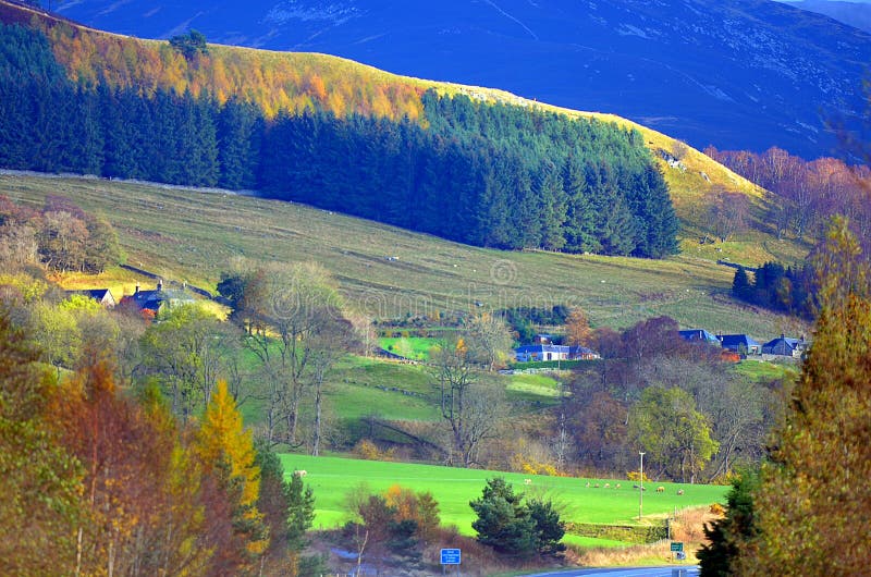 Colorful Scenic View of the Scottish Highlands in Summer Stock Photo ...