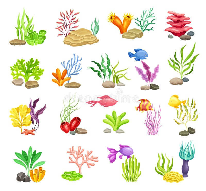 Colorful Sea Bed and Ocean Bottom with Algae and Stone Vector Set Stock ...