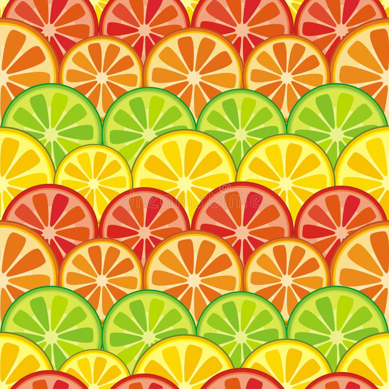 Seamless citrus pattern stock vector. Illustration of seamless - 37048983