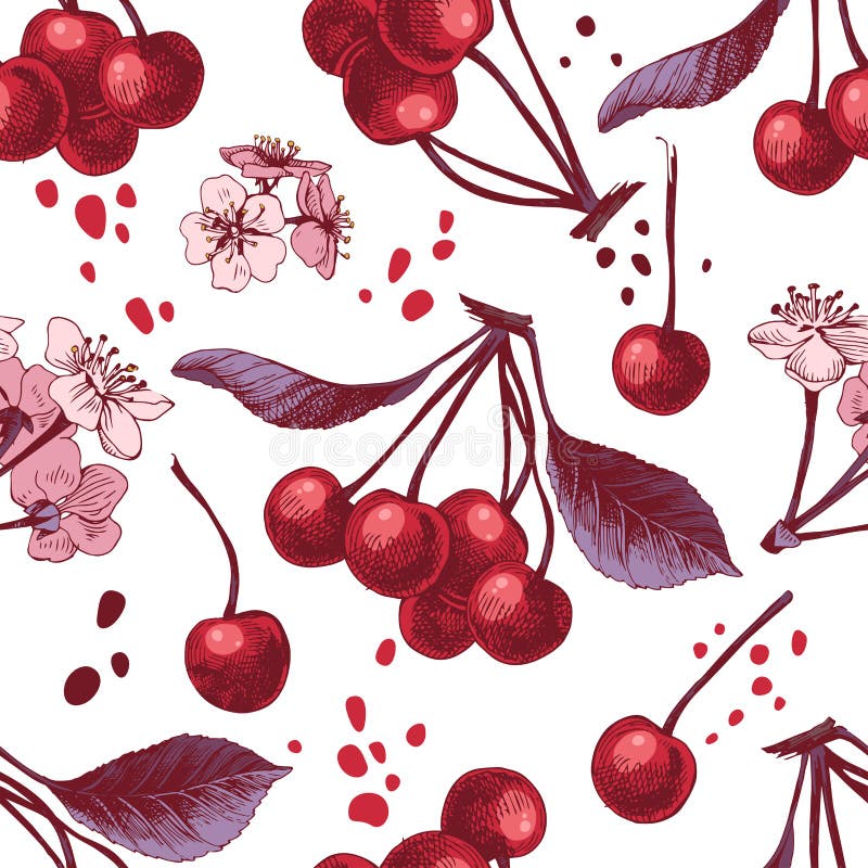 Seamless Pattern with Hand Drawn Cherries Stock Vector - Illustration ...