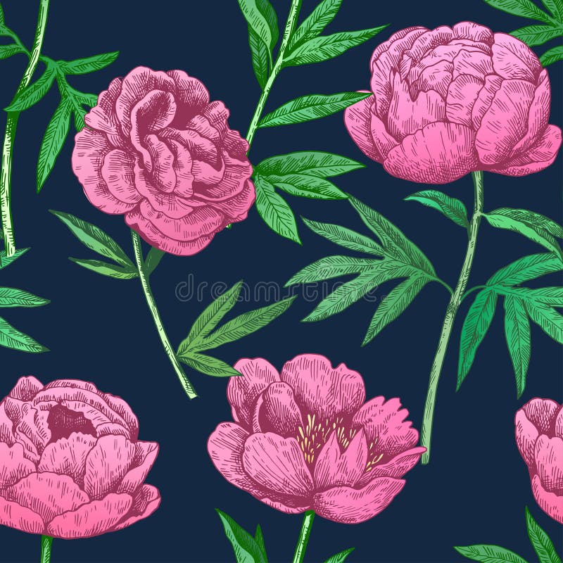 Colorful Seamless Pattern with Peony Flowers in Victorian Engraving ...