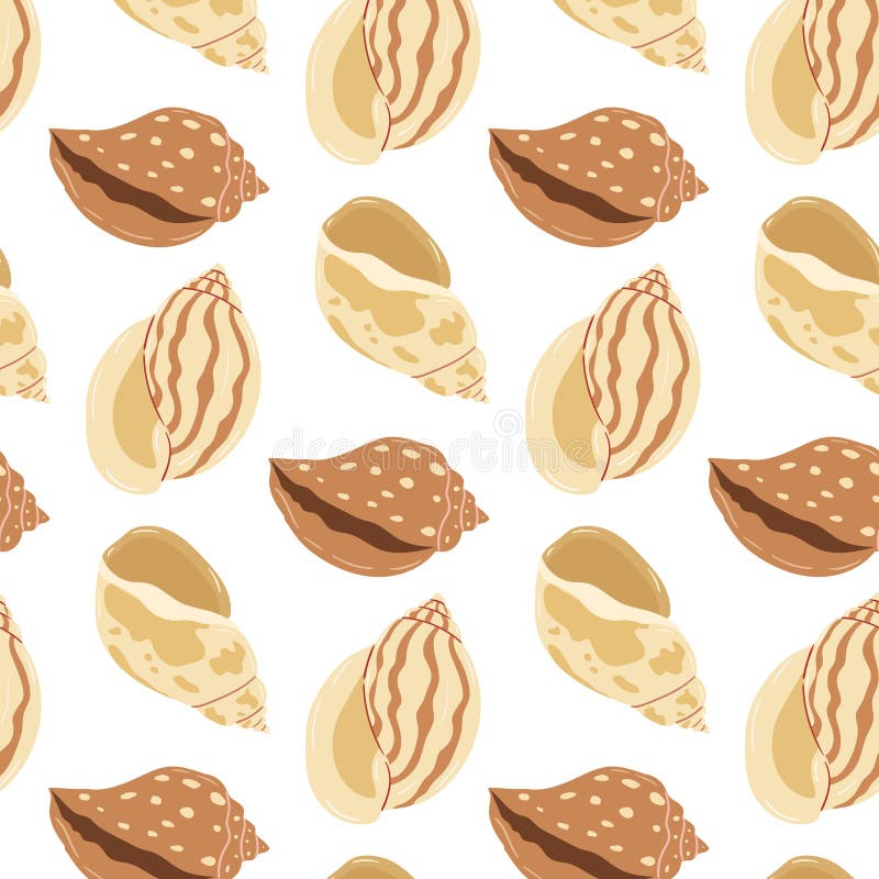 Patterns of Seashells in Various Colors on a White Background for ...