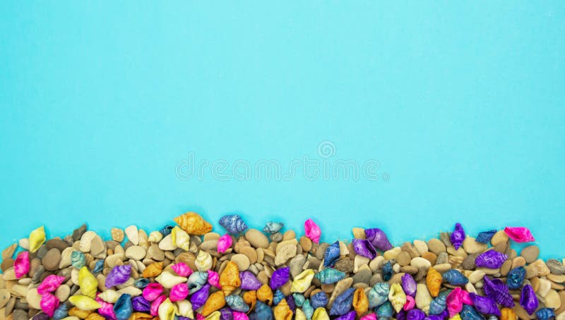 Colorful Seashells Background with Copy Space Stock Image - Image of ...