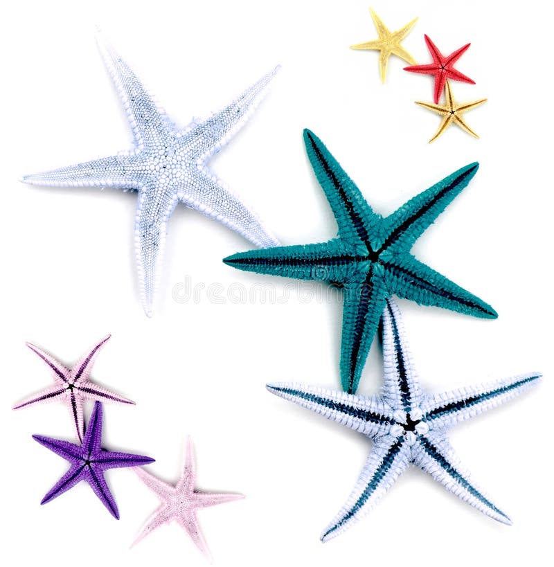 Colorful Seastars Isolated White Background Stock Photos - Free ...