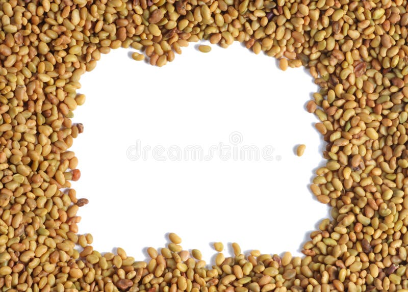 Colorful Seeds Mixture Close-up Picture. Image: 6285397