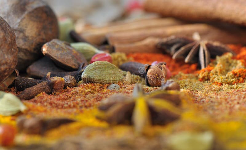 Colorful seeds and powder stock photo. Image of spices - 51574684