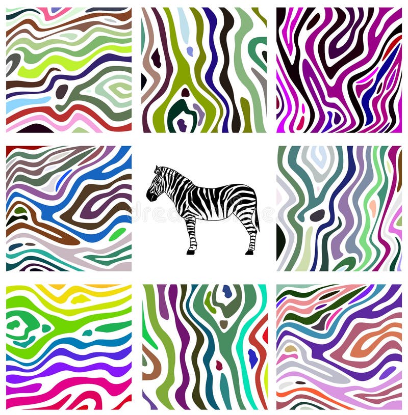 Baby Zebra Colorful Vector Illustration Stock Vector - Illustration of ...