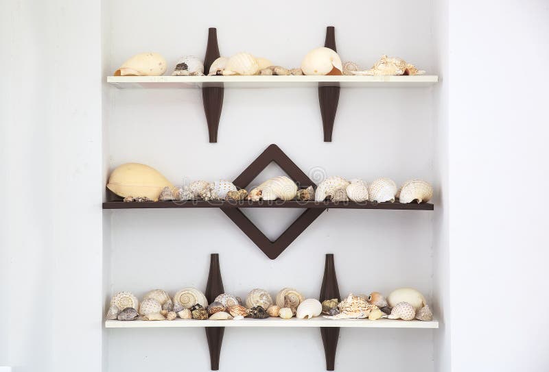 Colorful shell on a shelf stock image. Image of folio - 26656755