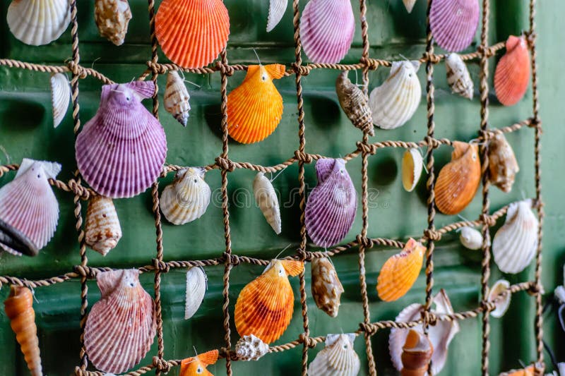 Colorful Shells Hanging on a Net Stock Photo - Image of beach ...