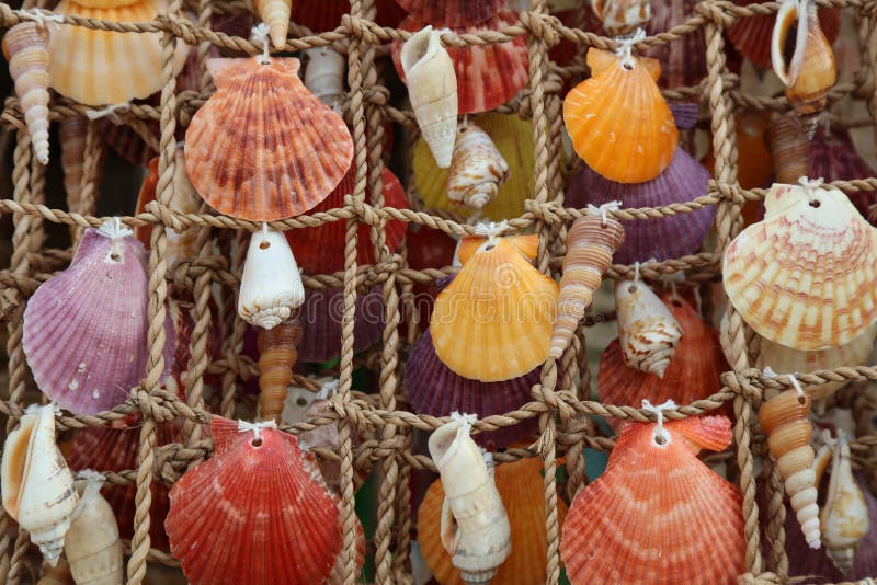 Colorful Shells on a Net, Boracay Island, Philippines Stock Image ...