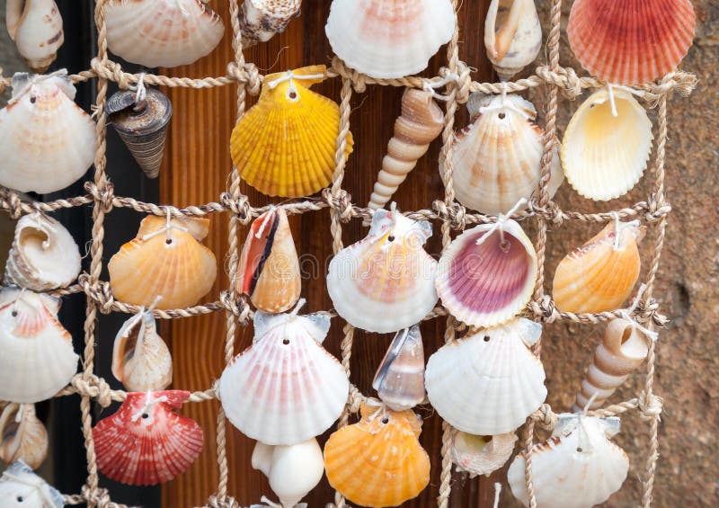 Colorful Shells on Net, Marine Decoration Stock Image - Image of wall ...