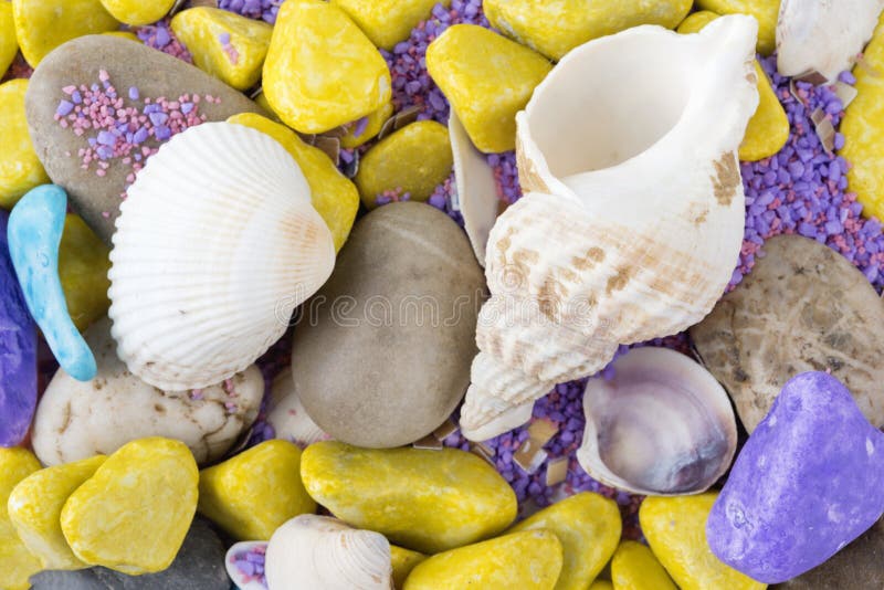Colorful shells stock image. Image of shells, shell, object - 46537549