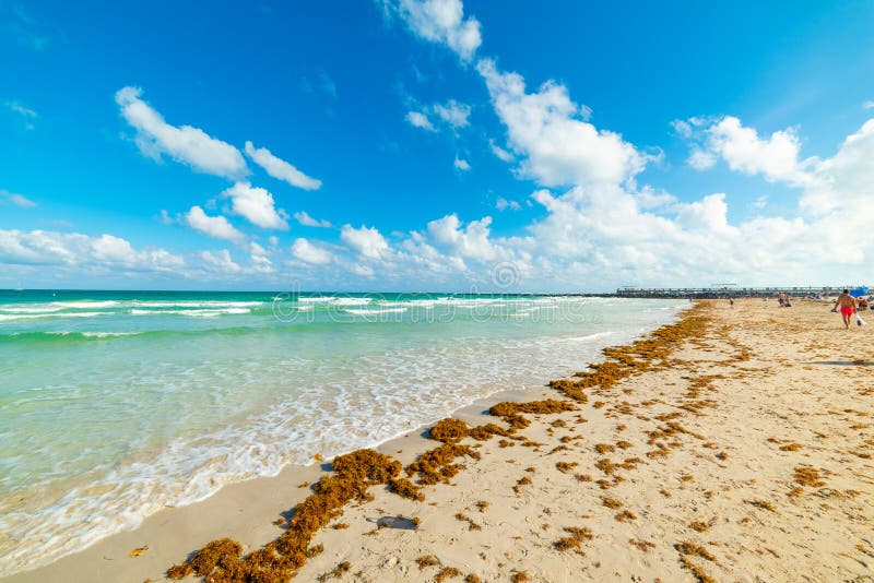 Colorful Shore in South Beach Stock Image - Image of caribbean ...