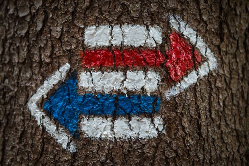 Colorful Signs for Hiking on the Bark of a Tree Stock Image - Image of ...