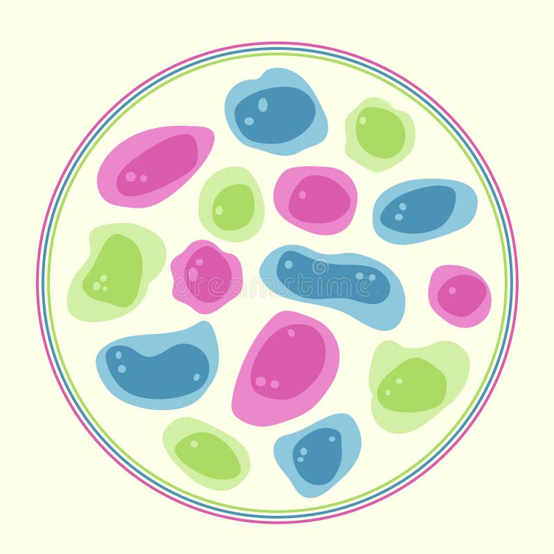 Single Cell Organisms Stock Illustrations – 76 Single Cell Organisms ...