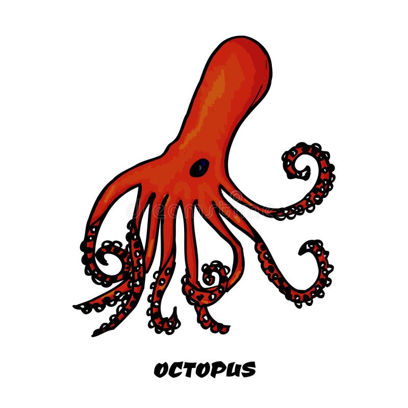 Colorful Sketch Octopus As a Design Element Stock Vector - Illustration ...