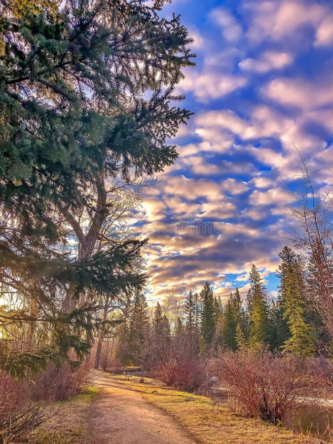 Colorful Spring Day at a Calgary Park Stock Photo - Image of landscapes ...