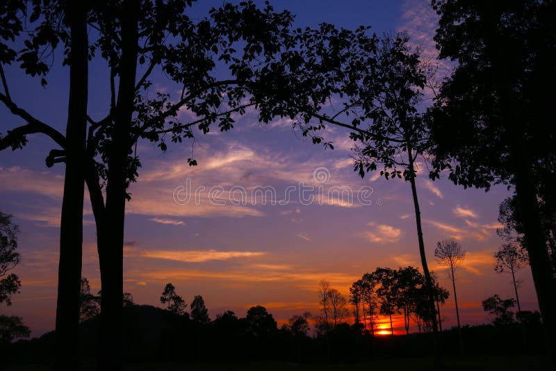 Colorful Sky Sunset on the Forest Stock Photo - Image of sunset, skies ...