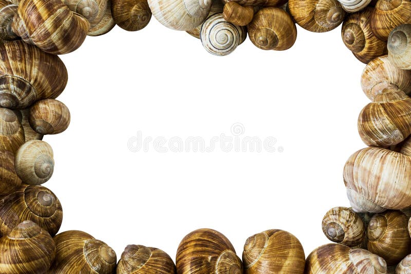 Colorful Snail Shells Background Stock Photo - Image of culture, large ...