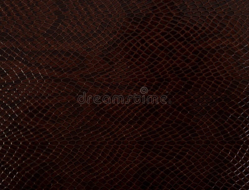 Colorful Snake Natural Pattern on a Background Stock Photo - Image of ...