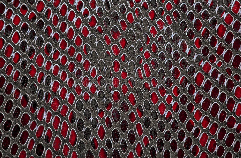 Snake Skin Frame Stock Illustrations – 369 Snake Skin Frame Stock ...