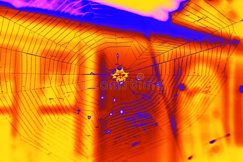 Colorful Spider 3d Abstract Design Stock Image - Image of white, ocean ...