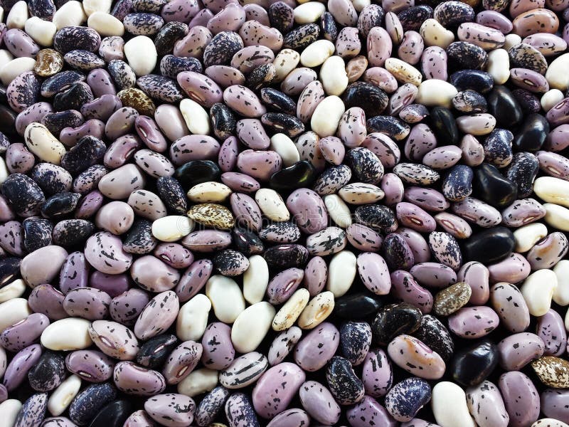 Spotted beans stock image. Image of grain, nature, assortment - 23800469