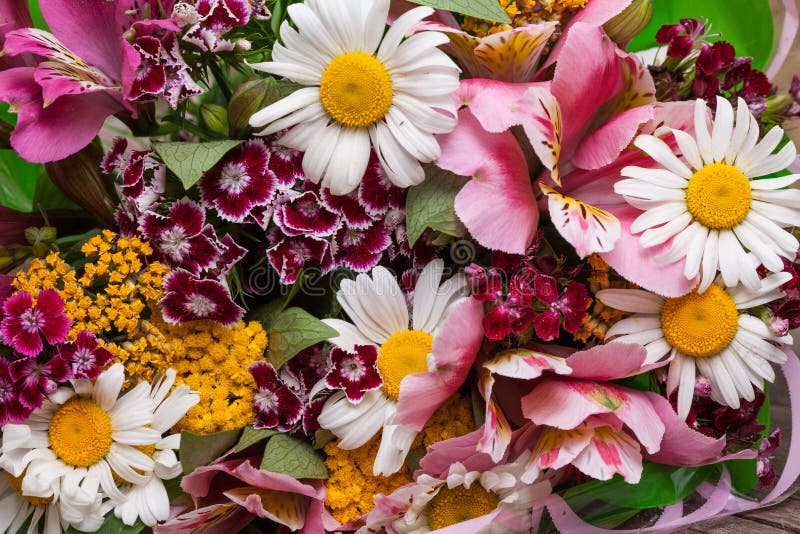 Colorful Spring Bouquet of Flowers. Background. Stock Photo - Image of ...